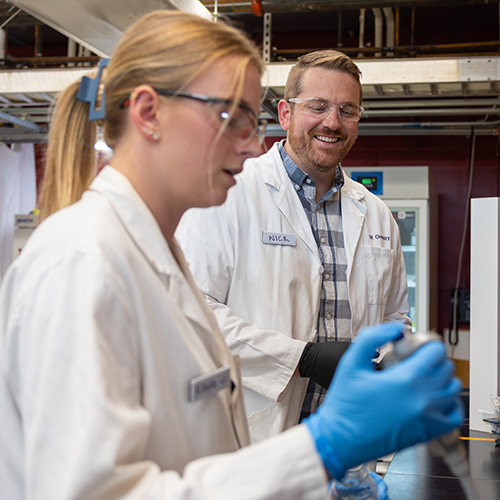 The Mystery of Sugar — in Cellular Processes | Department of Chemistry ...